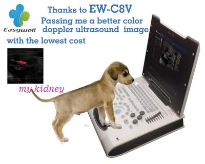 China Easywell Color Doppler veterinary ultrasound EW-C8V with micro-convex probe for vessel and hearts and abdomen of animals for sale