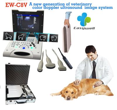 China Ultrasound scanner veterinary reproductive color doppler EW-C8V with rectal probe for bovine and equine breeding for sale