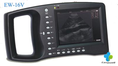 China Handheld Veterinary Ultrasonic Diagnostic Apparatus EW-B16V with multi-frequence mechanical probe for sale