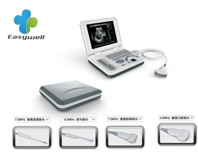 China Full digital B/W ultrasound system EW-B20V for Veterinary diagnostic for sale