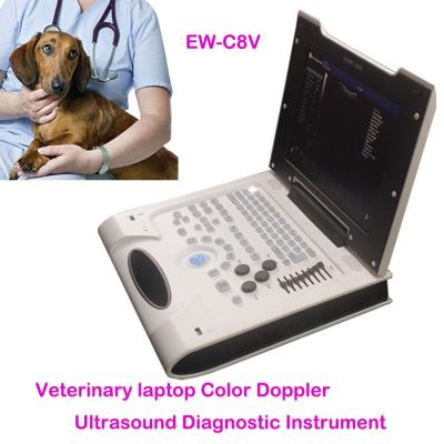 China Easy carry Laptop Veterinary Ultrasound Scanner Color Doppler Ew-C8V with Convex Probe for Abdominal and Reproduction for sale