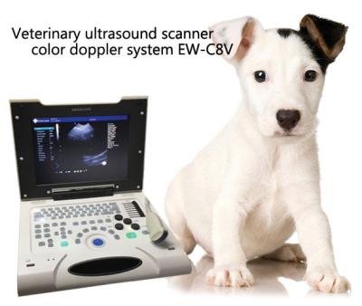 China Portable Color Veterinary Ultrasound images EW-C8V with Micro-Convex probe C3.5R10 for Small parts of animal for sale