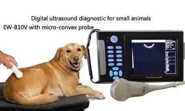 China Handheld Veterinary ultrasound scanner EW-B10V with Micro-Convex probe for abdominal,cardiac and reproduction of animals for sale