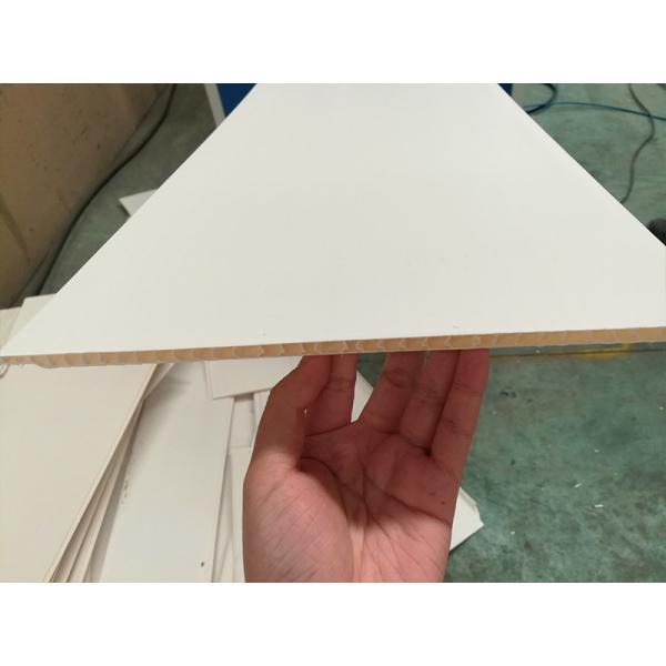 Quality WPC Panel Plastic Sheet Extrusion Machine 260kg/H 1.5mm Thickness For Door And for sale