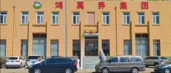 China Factory - Langfang Hongyuqiao Waterproof Material Co., Ltd.
