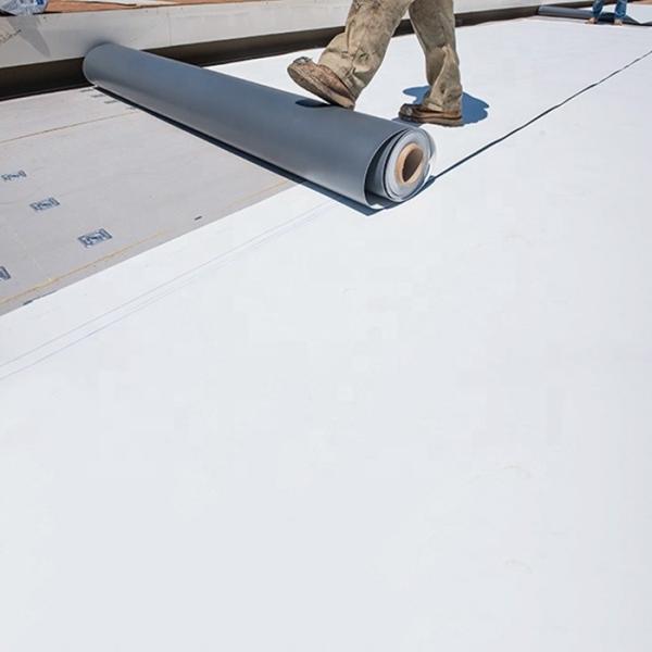 Quality 1m 2m width TPO Waterproof Membrane For external defense / Base Plate for sale