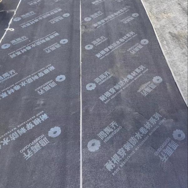 Quality SBS Elastomeric Modified Bitumen Waterproofing Membrane 10m Length Puncture for sale