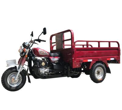 China Gasoline 1 Ton 80km/H 3 Wheel Cargo Motorcycle for sale