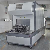 China 8th Generation Inline Conveyor Type Automatic Vacuum Heat Setting Machine for Boots for sale