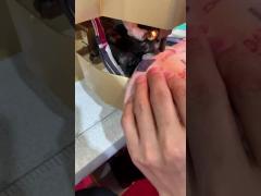 Insole folding machine