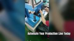 Computer automatic tongue flip machine