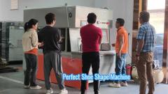 YT-113AS model shoe shaping machine