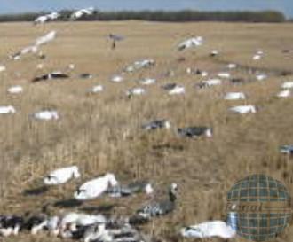 China OEM decoys for sale