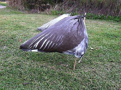 China Blue Snow Goose Rag Decoys 1 Dozen (12) + 2 FREE CANADA/SPECK Rags With Dozen! for sale