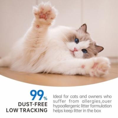 China Fast Agglomerating Mineral Cat Litter Natural Sodium Based Ore Litter for sale