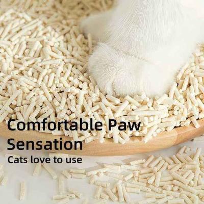 Cina Lettera per gatti a base di tofu ecologica, sicura e sostenibile con fibre vegetali naturali in vendita