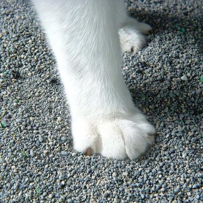 China Natrium op basis van erts Kattenvuil Aanpassen 100 stofvrij Kattenvuil Te koop