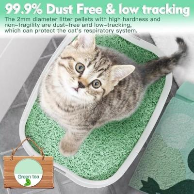 China ODM Duurzame biologische groene thee Kattenvuil snel klonteren stofvrij Flushable Te koop