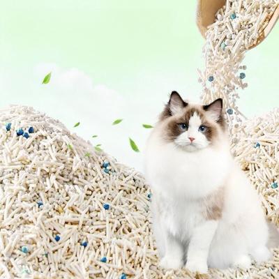 China 70% de tofu 30% de bentonita de arena de gato de tofu de gato personalizado en venta