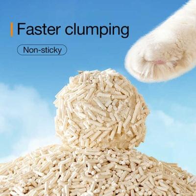 Cina ODM Cat litter naturale senza polveri in vendita