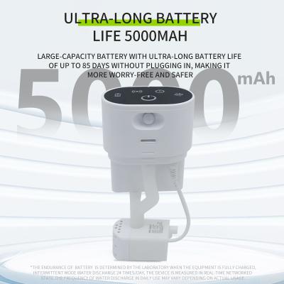 China New Products Smart Automatic Pet Feeder Water Dispenser for Cats and Dogs for sale