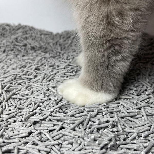 Quality OEM/ODM Ecological Natural Strong Clumping Dust-Free High Water Absorption Activated Carbon Tofu Cat Litter for sale