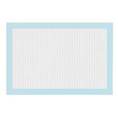 Cina Pad di allenamento per animali da compagnia biodegradabili e superassorbiti Non scivolosi Pad per cani e cuccioli Pad impermeabili per cani in vendita