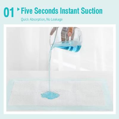 Cina Tappetino igienico usa e getta per cani e cuccioli, antiscivolo, per l'addestramento all'uso del vasino, assorbente per urina in vendita