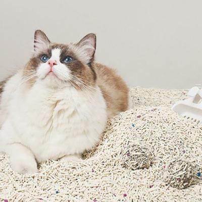China Highly Effective Bentonite and Tofu Mixed Cat Litter Double Absorption Clumping Dust-Free Eco-Friendly Pet Supply for sale