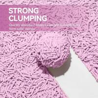 Quality Pet Supply Odorless Sustainable Lightweight Lavender Tofu Cat Litter Fast Clumping Cat Litter Sand for sale