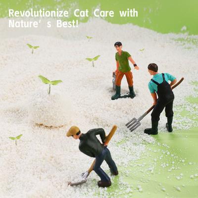 China OEM/ODM Custom Eco-Friendly Wholesale Distribution Pet Supplies Clumping Cassava Cat Litter Sand for sale