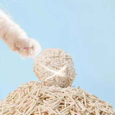 China Flushable Tofu Cat Litter Biodegradable Plant Based Natural Eco Friendly Fast Clumping Pet Product for sale