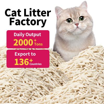 China Hypoallergenic Dust Free Flushable Tofu Cat Litter Chemical Free Natural Scented Safe Kitten Pellets for sale
