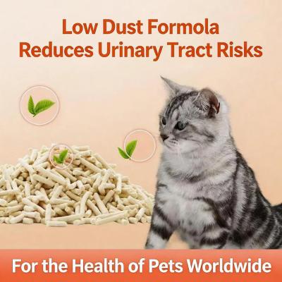 China Natural Biodegradable Pea Fiber Tofu Cat Litter with Fast Clumping Low Dust Flushable Formula Performance for sale