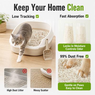 China Reliable Clumping Odor Management Smooth Texture Professional OEM Manufacturing Tofu Cat Litter for sale