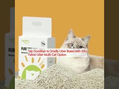 Say Goodbye to Smelly Litter Boxes with Tofu Feline Litter Multi-Cat Option