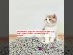 Wholesale customized bentonite cat litter dust free organic sodium bentonite clay odor control