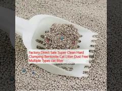 Fabriek directe verkoop Super Clean Hard Clumping Bentonite Kattenvuil Vast Multiple types Kattenvuil