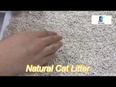 Resíduos de Tofu para gatos 100% naturais e ambientalmente corretos