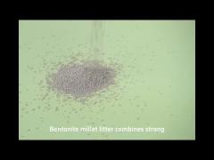 Natural Eco-Friendly Degradable 1-2mm Millet Bentonite Cat Litter High Quality Pet Products