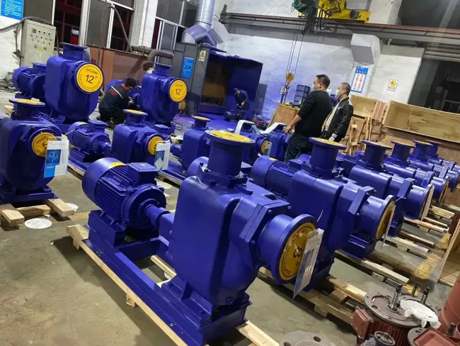 Zw Self-Priming Sewage Pump