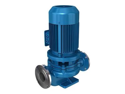 Cina Pompa di olio a prova di esplosione elettrica YG Verticale Impressione minima OEM durevole in vendita