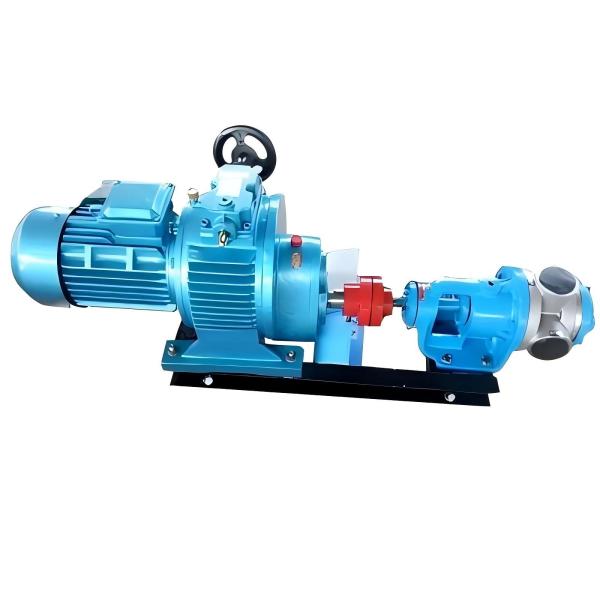 Quality NCB Stainless Steel High Viscosity Rotor Pump 4KW Large Flow Low Noise for sale
