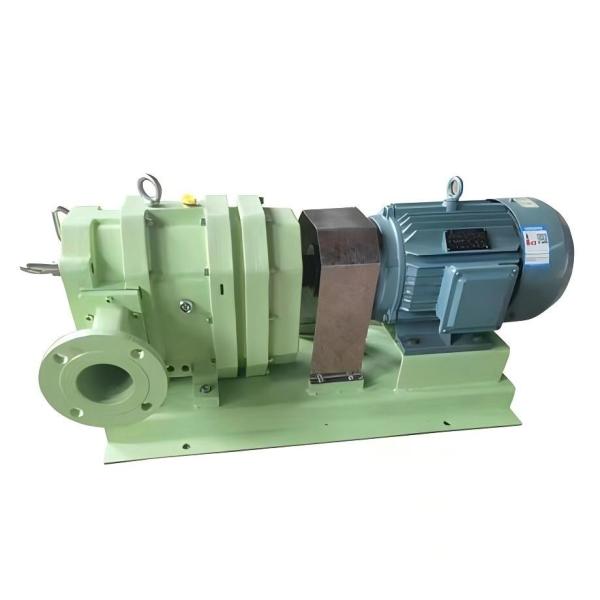 Quality Vacuum Rubber Stator Rotor Pump Horizontal Mud Small Oil Sludge Pump for sale