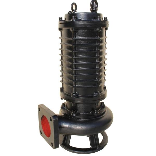 Quality Powerful Cutting Sewer Pump for Heavy-Duty Sewage and Sludge Handling for sale