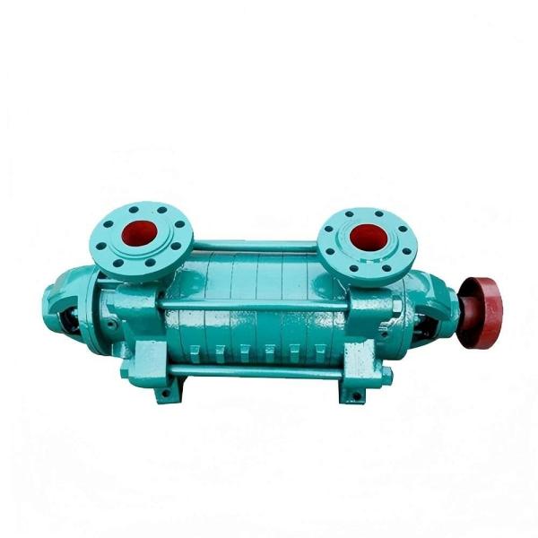 Quality Horizontal DG Multistage Pump , Irrigation Centrifugal Pump For Boiler Water for sale