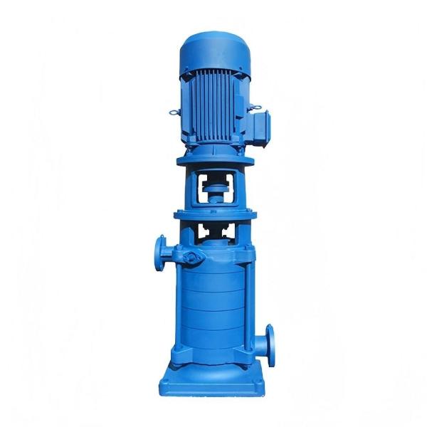 Quality DL Vertical Multistage Water Pump 380V 50Hz For Domestic Water Supply for sale