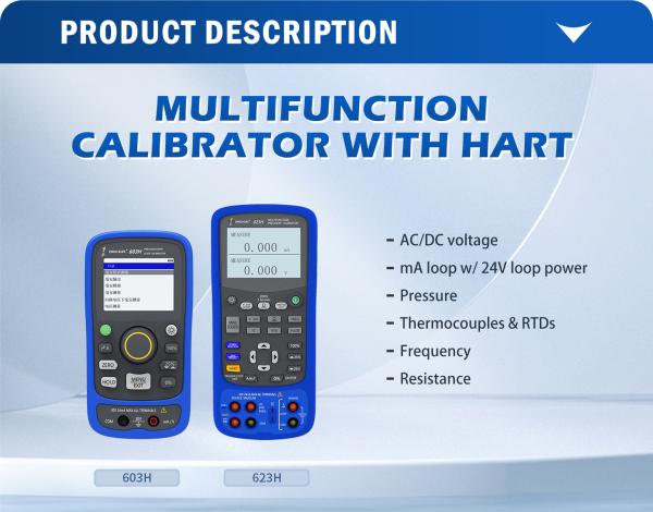 Meting van de weerstand Thermocouple RTD Frequency Pulse Switch Multifunction Process Calibrator