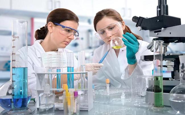 dropper pipettes 10ml 