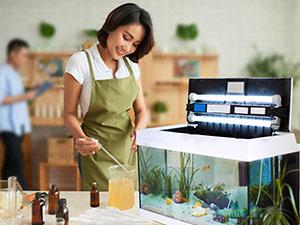 transfer pipettes